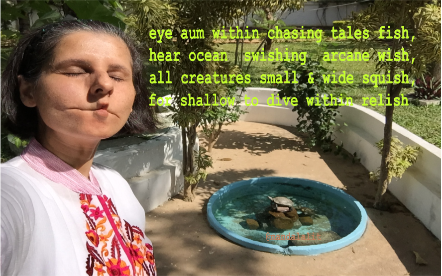 fishw – mandala lit