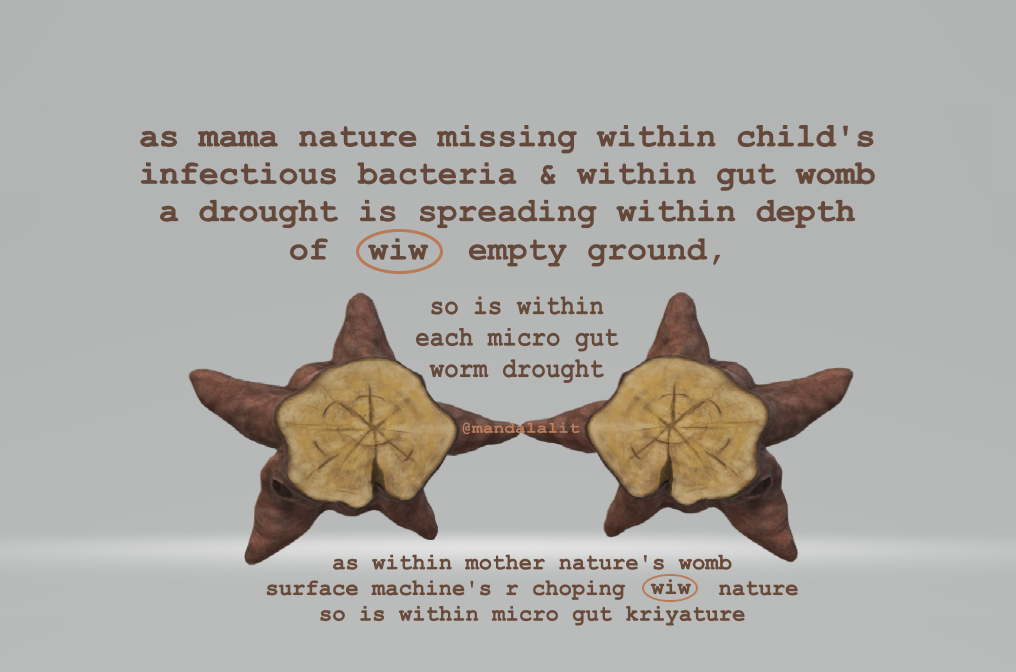 a sea chop-(k)nee – mandala lit