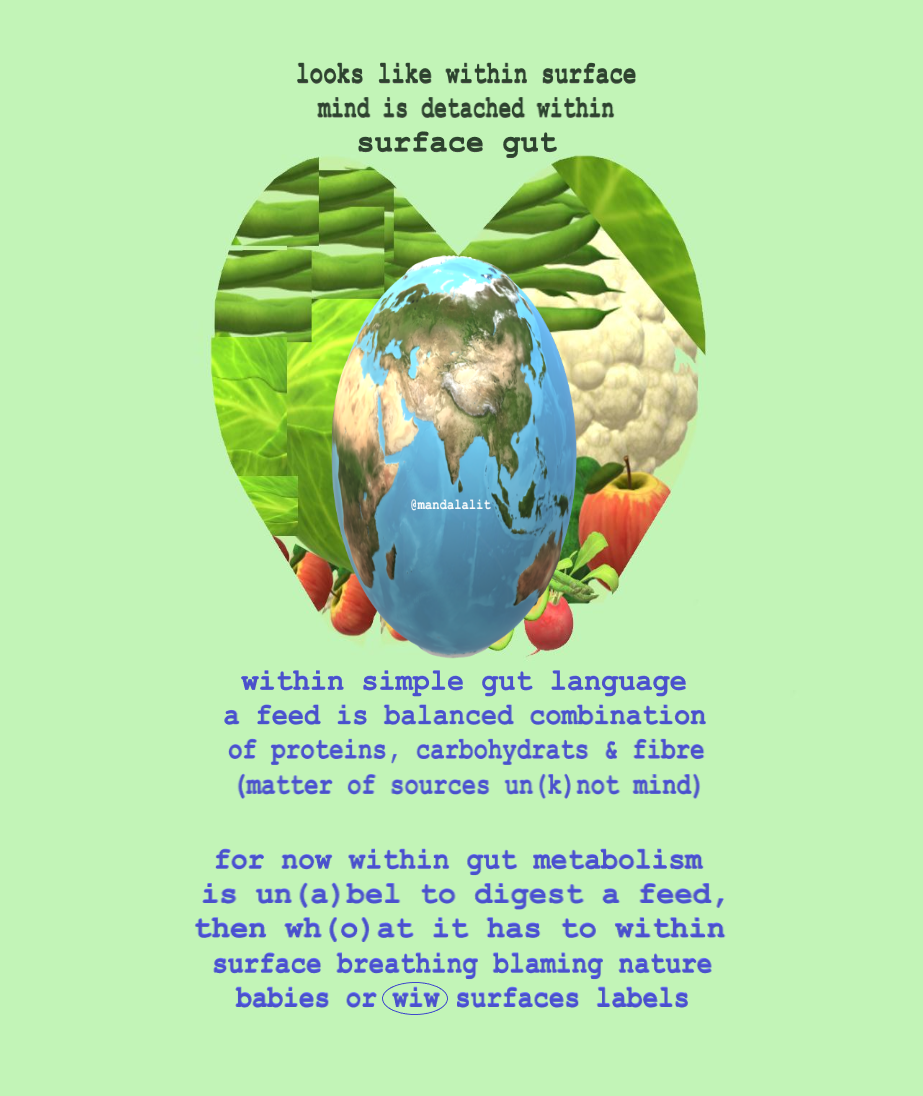 a detached mind – mandala lit